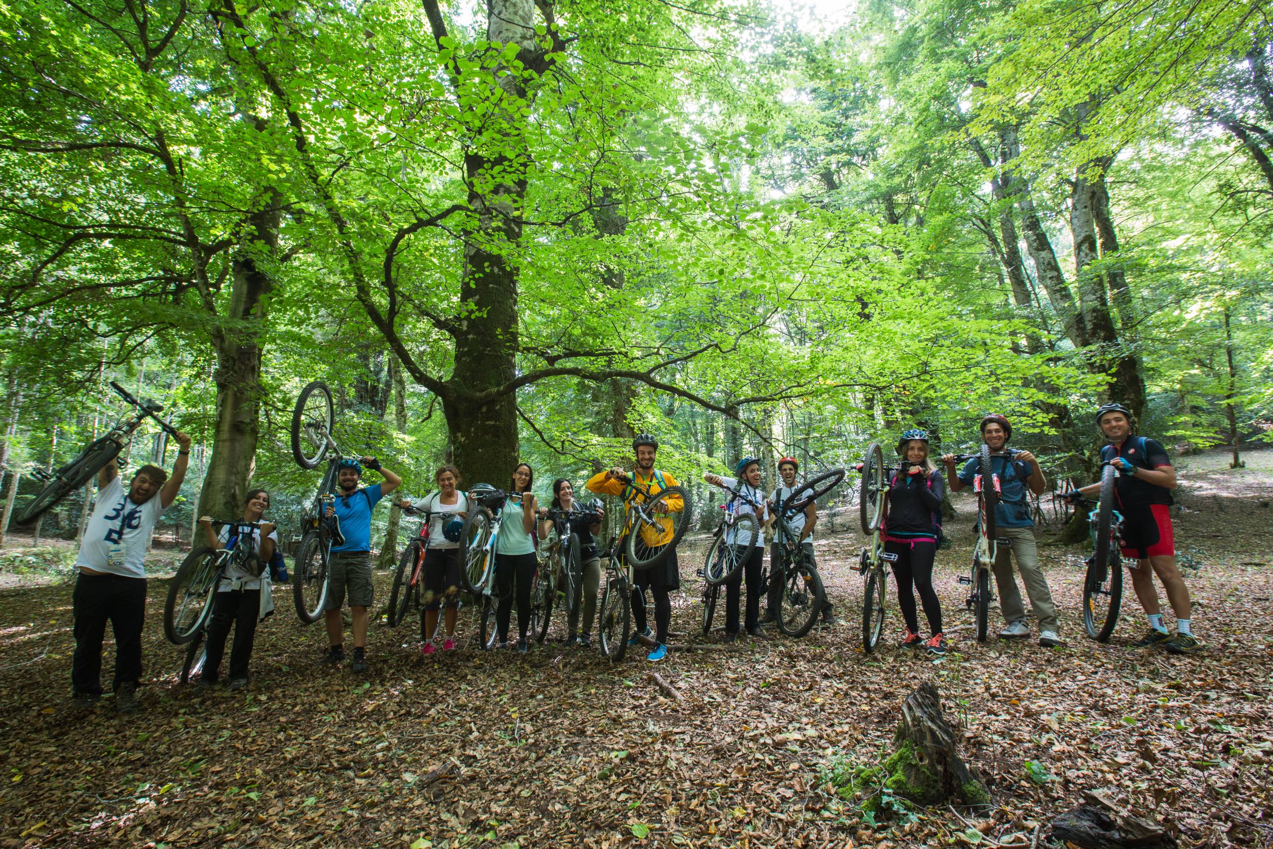 Découvrez la forêt de l'Ombrie lors d'une excursion en vélo électrique ...